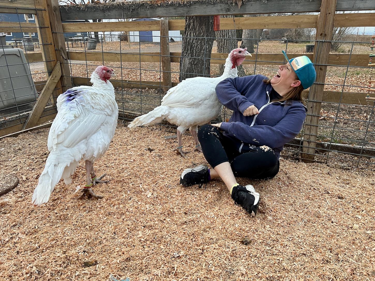 Luvin Arms Talks Turkey: Animal Sanctuary Hosting CO Governor-Pardoned ...